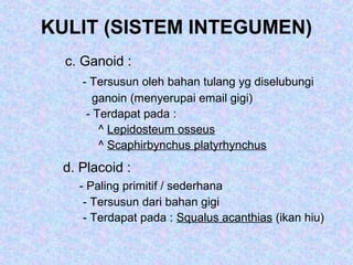 Integumen kulit | PPT