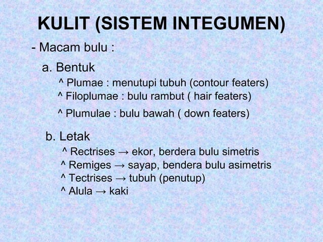 Integumen kulit | PPT