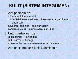 Integumen kulit | PPT
