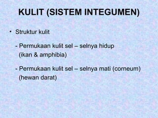 Integumen kulit | PPT