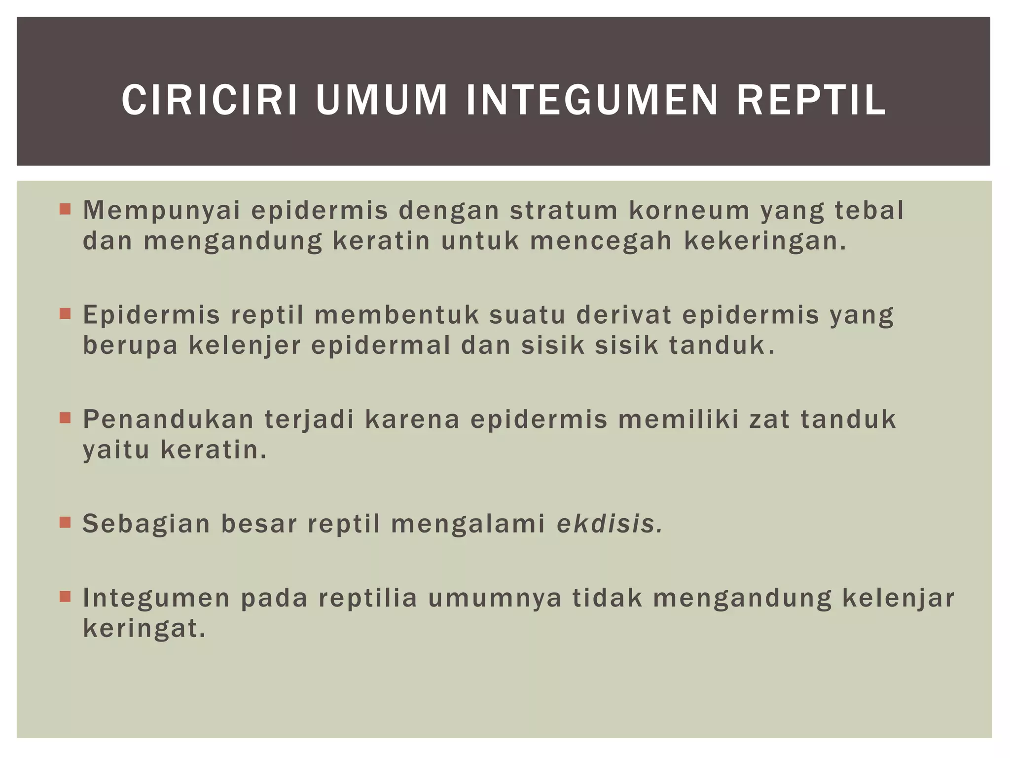INTEGUMEN REPTIL.pptx