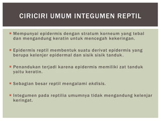 INTEGUMEN REPTIL.pptx