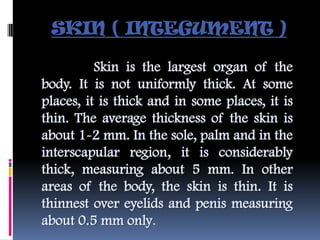 Integument ( Skin ) | PPTX | Skin and Dermatology | Diseases and Conditions