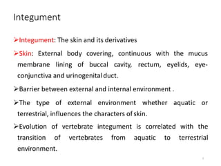 Integument | PPTX