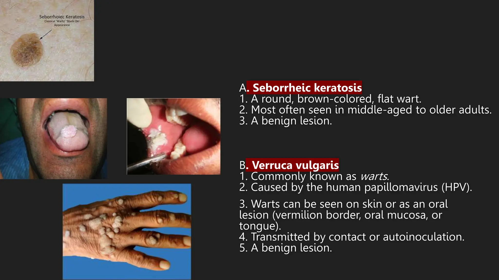 INTEGUMENTARY SYSTEM.pptx