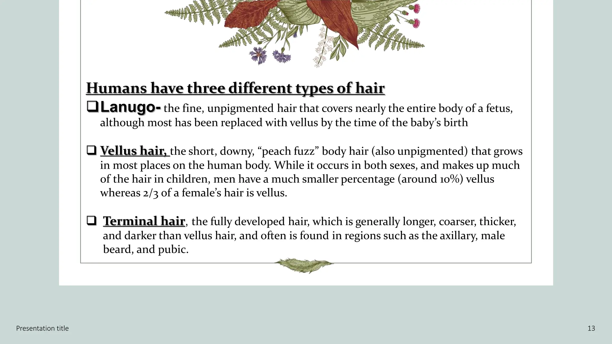 Integument and its derives(hairs and Feathers).pptx