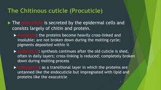 Integument and its role in pest management.final | PPT