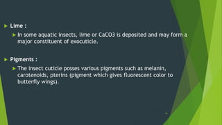 Integument and its role in pest management.final | PPT