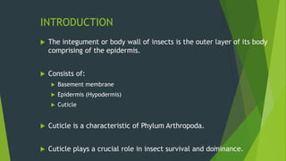 Integument and its role in pest management.final | PPT