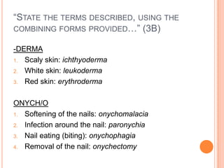 Med. Terminology Presentation: Ch.3, Integumentary System | PPTX