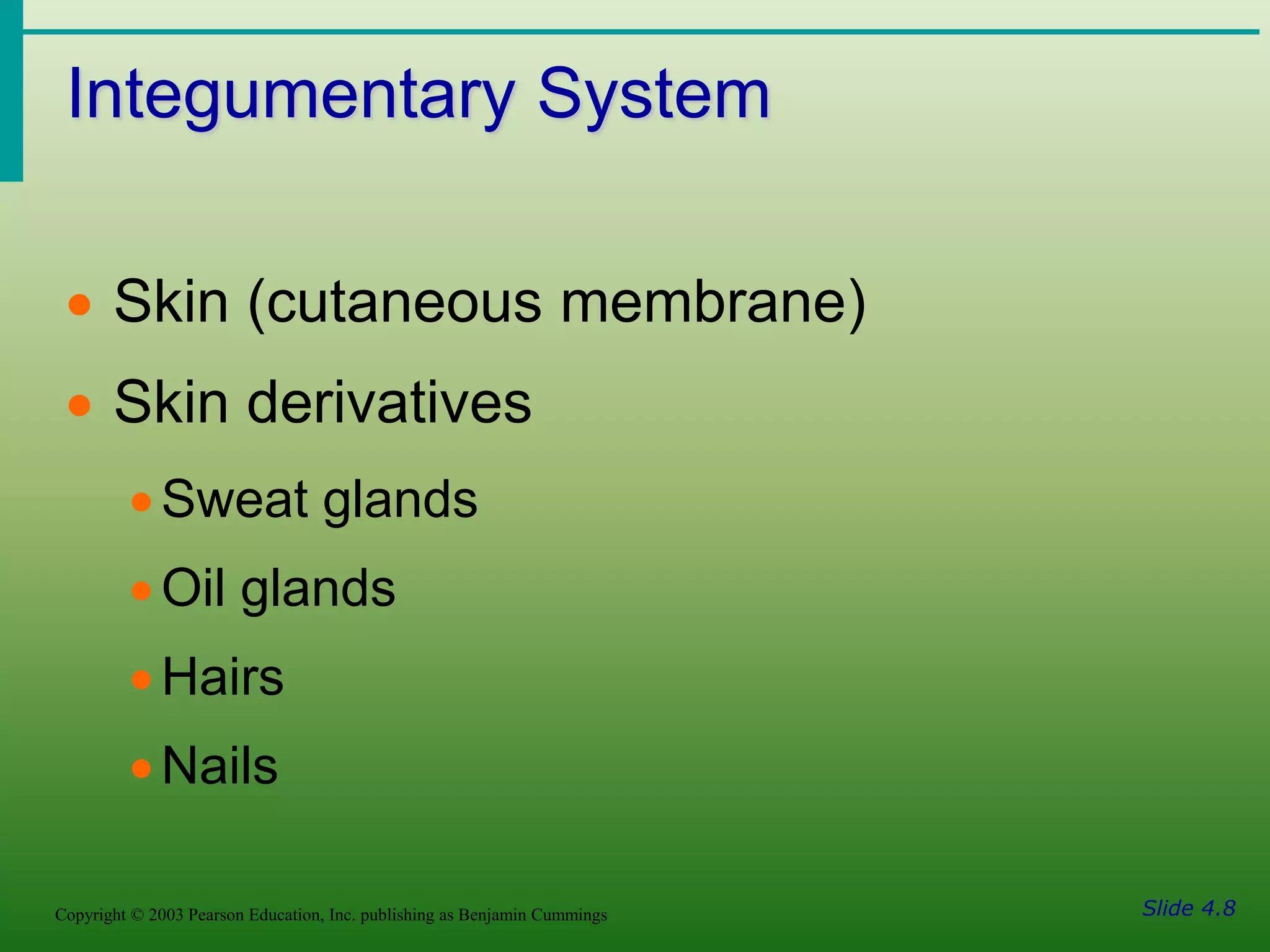 integumentary.ppt