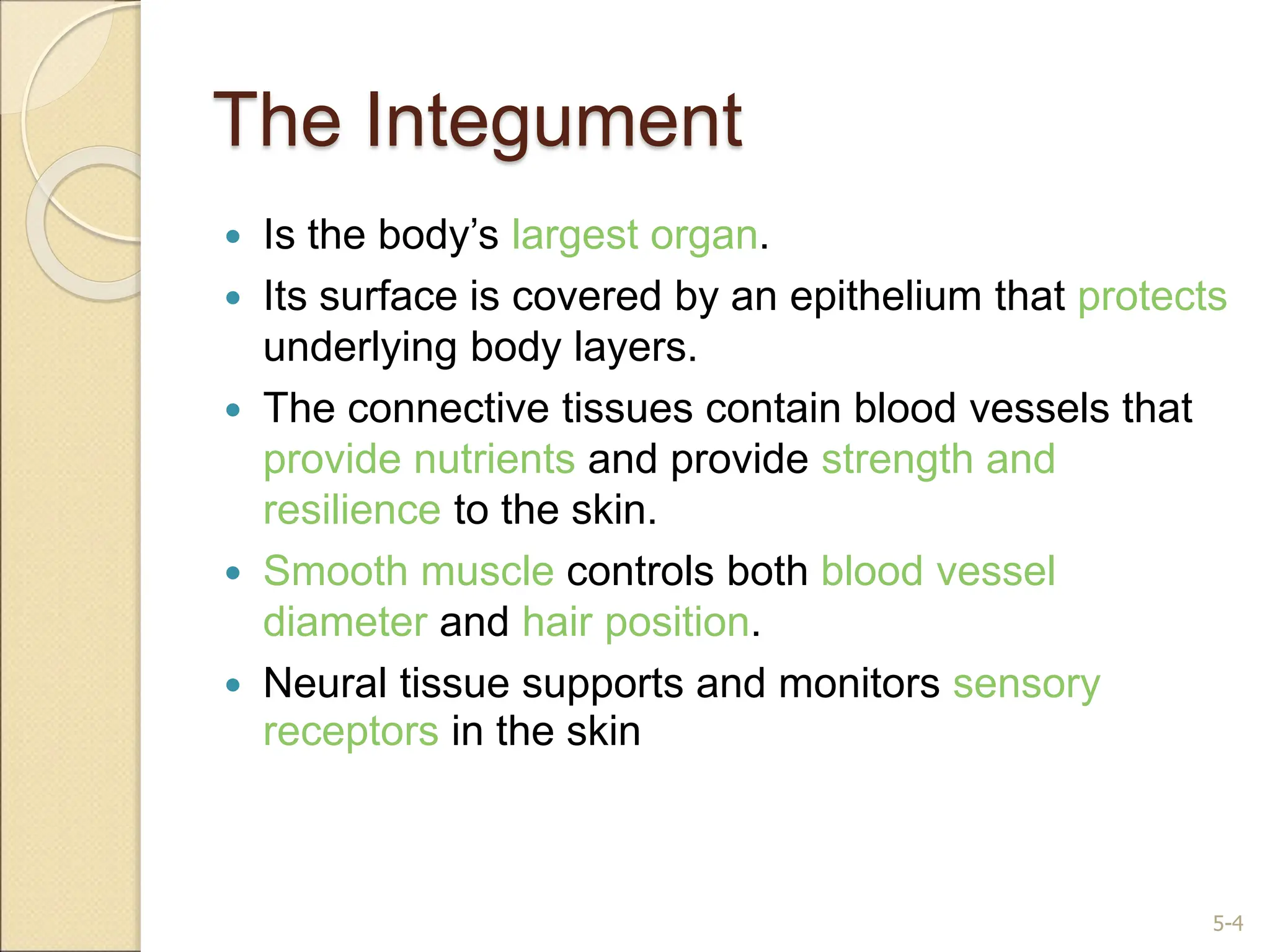 introductory to the structures of Integumentary.ppt