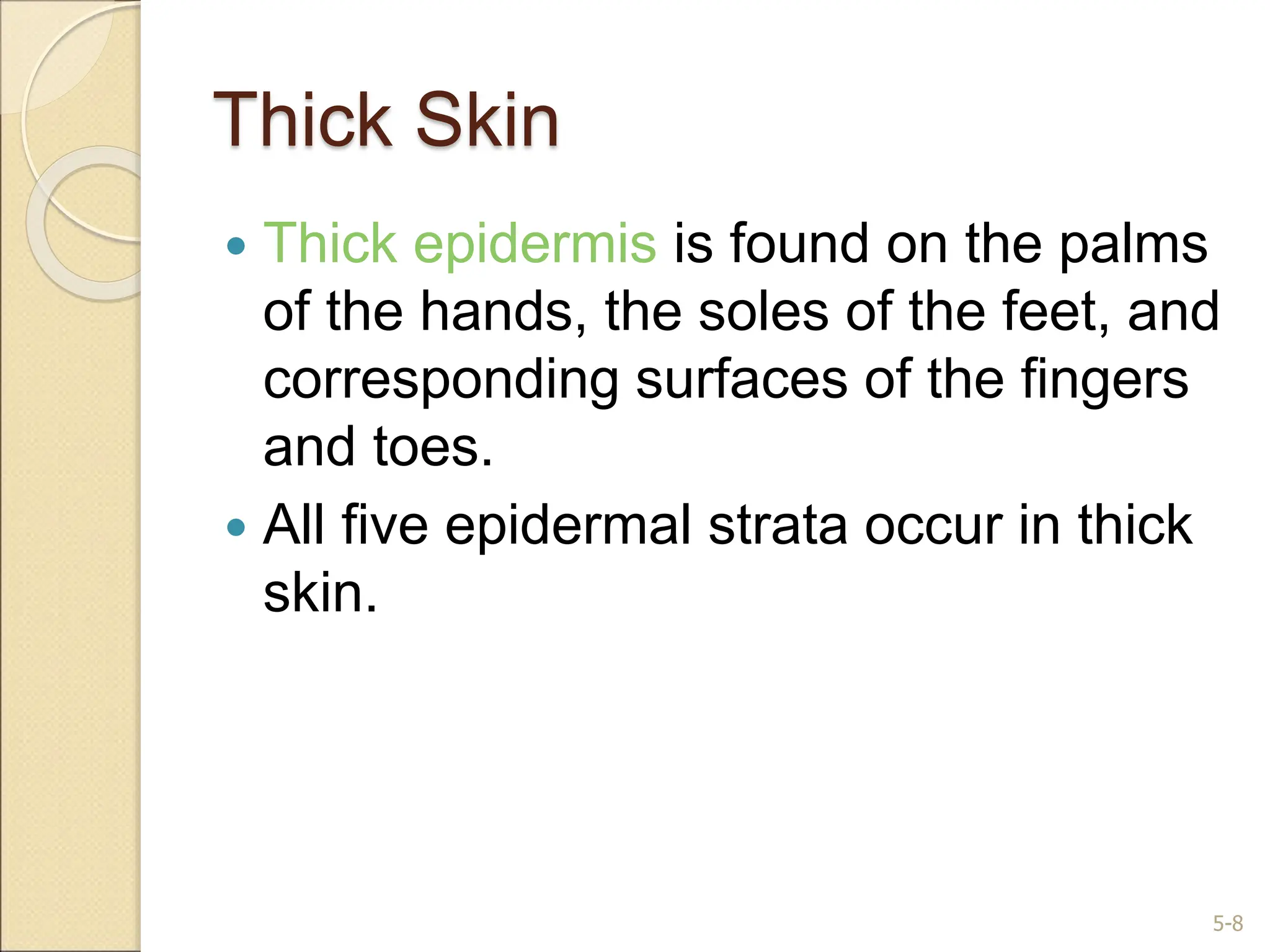 introductory to the structures of Integumentary.ppt