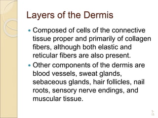 introductory to the structures of Integumentary.ppt
