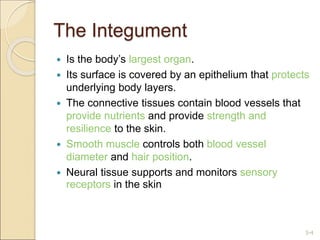 introductory to the structures of Integumentary.ppt