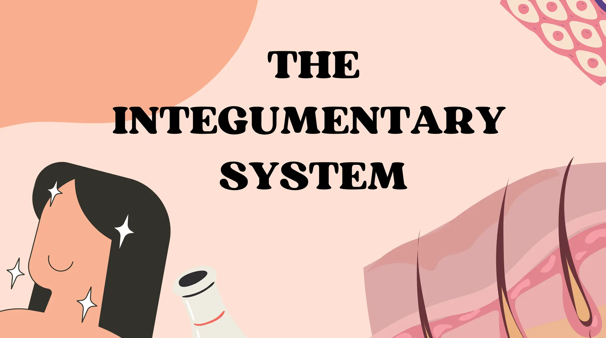 Human Integumentary - system. -1.1.pdf