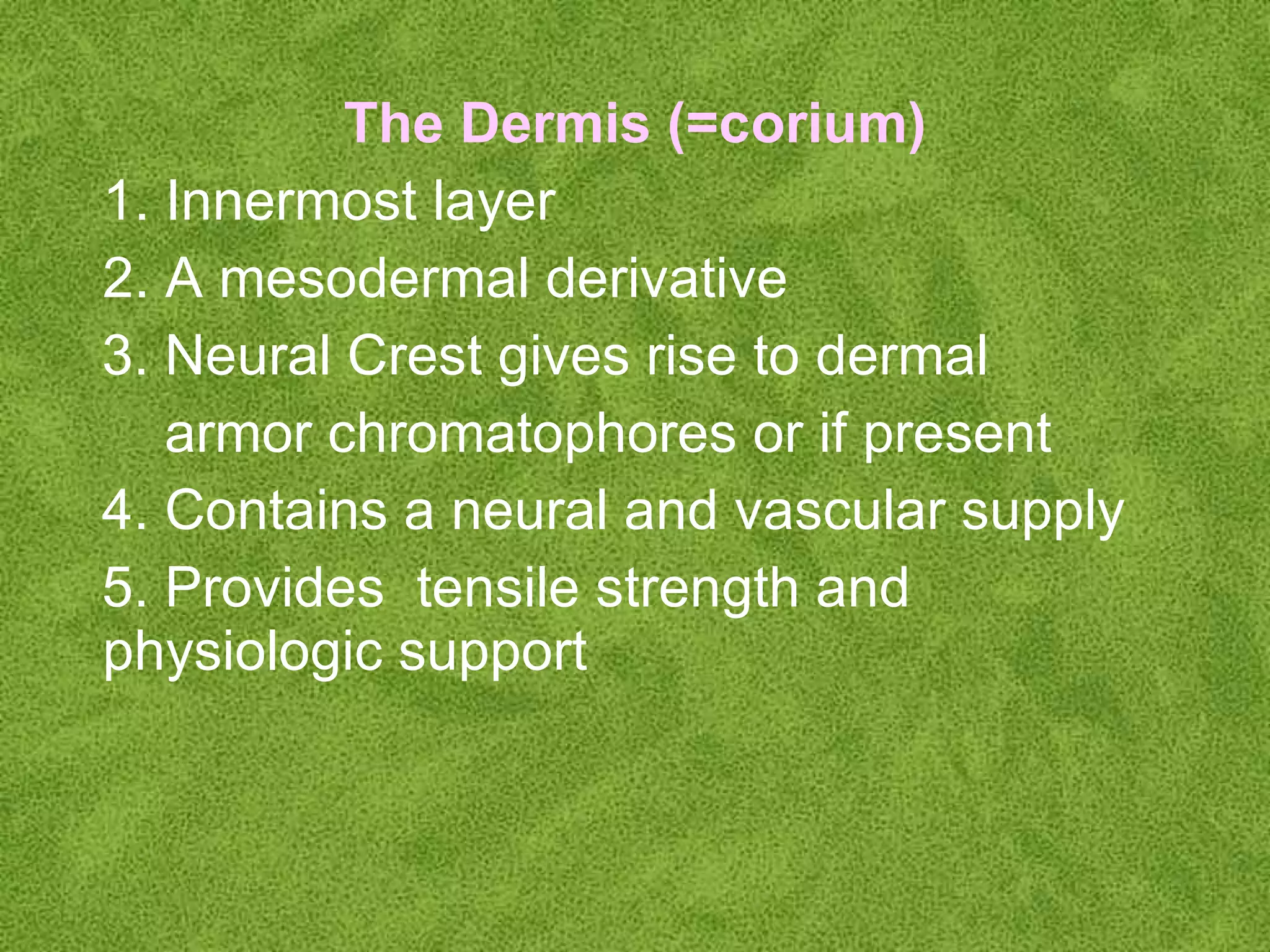 Integumentary System | PPT