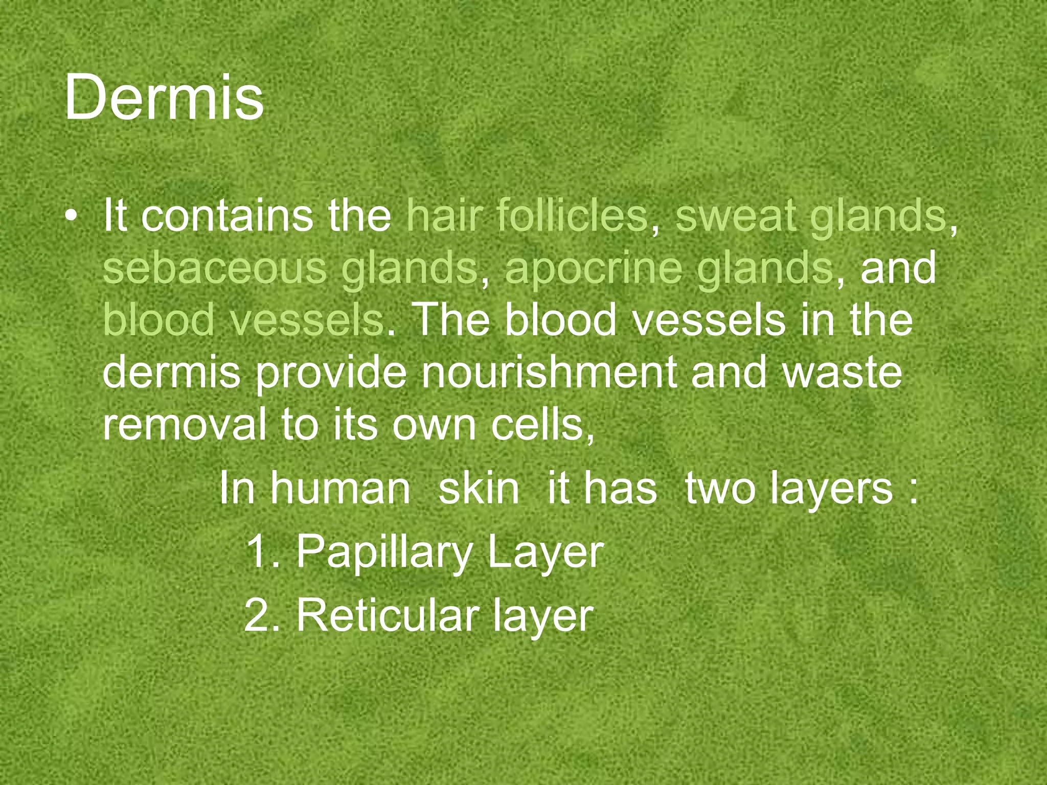 Integumentary System | PPT