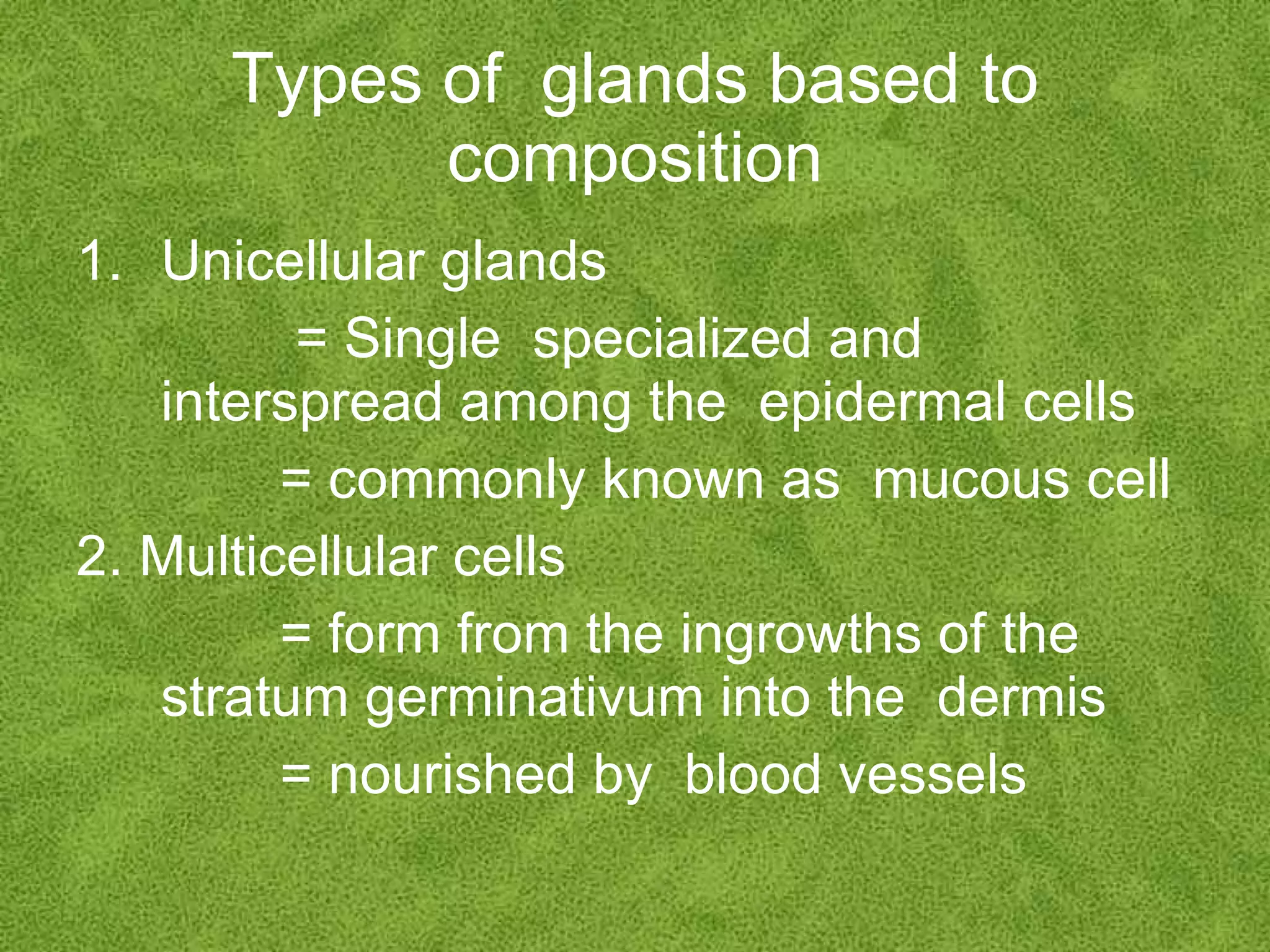 Integumentary System | PPT