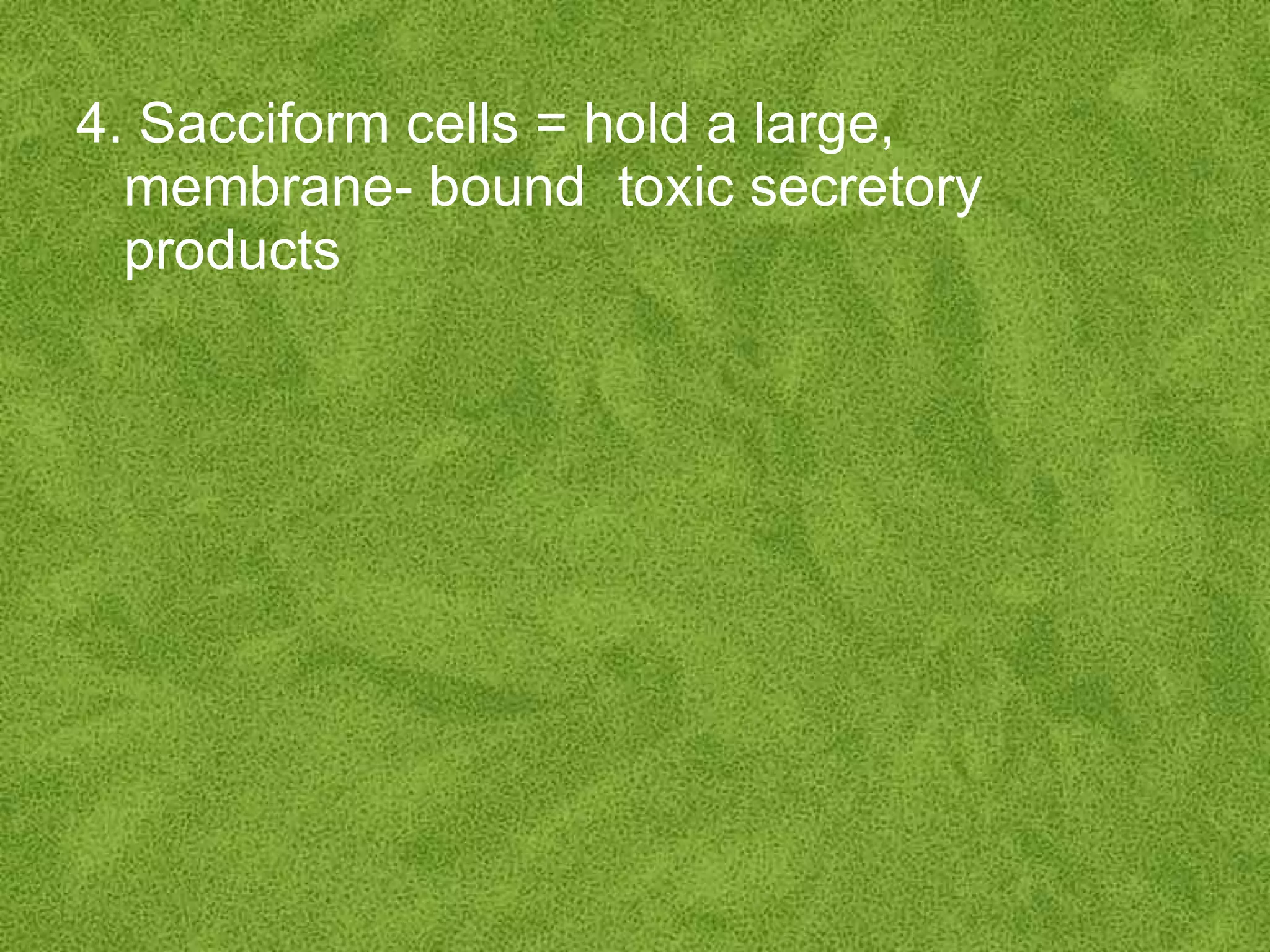 Integumentary System | PPT