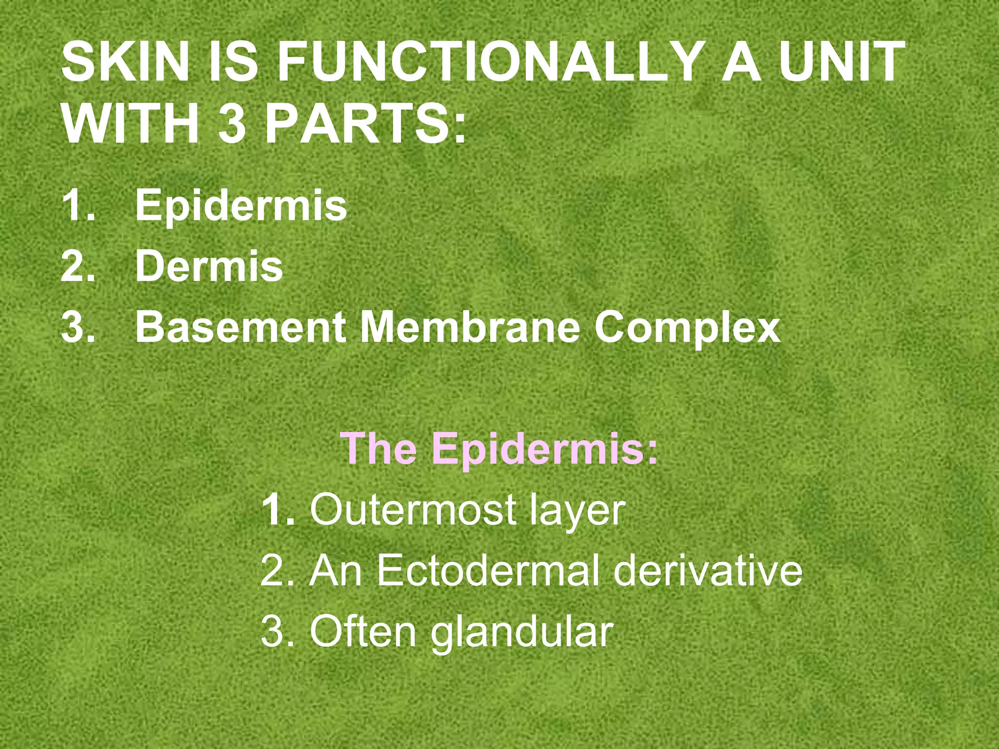 Integumentary System | PPT