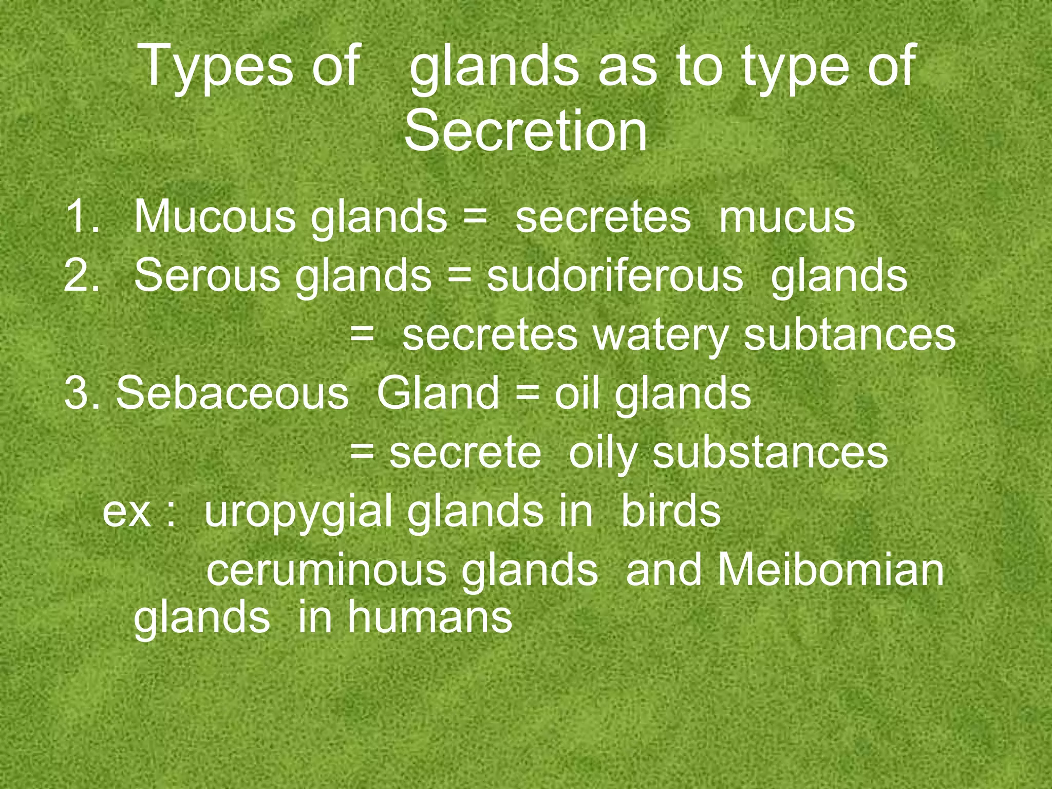 Integumentary System | PPT