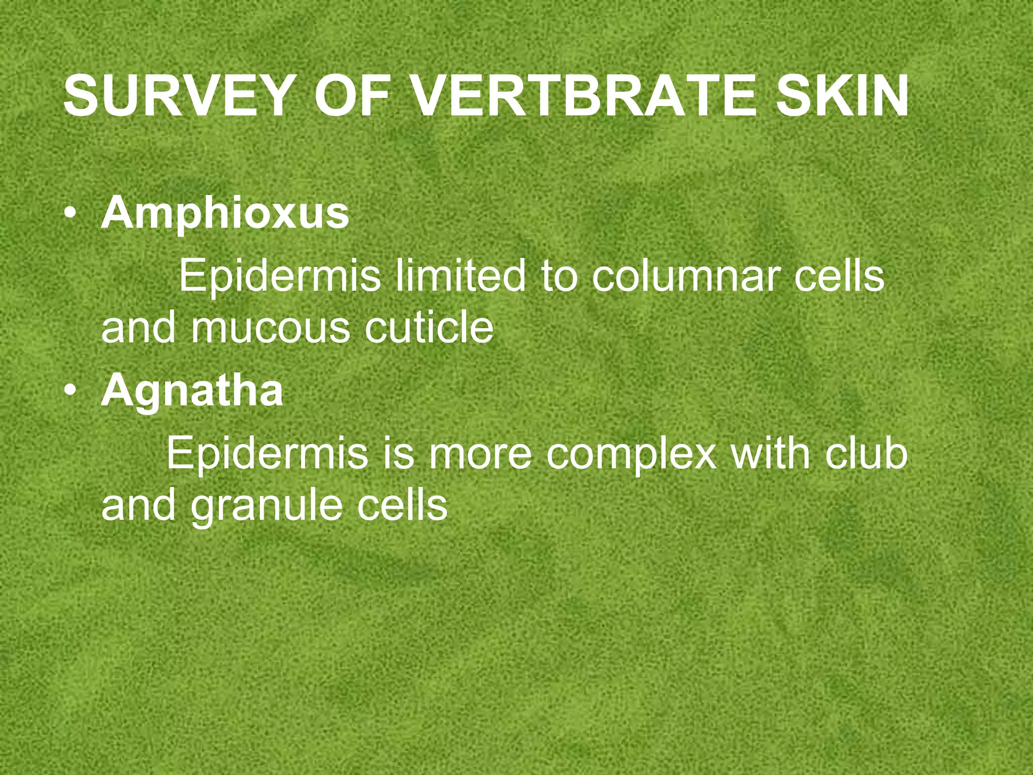 Integumentary System | PPT