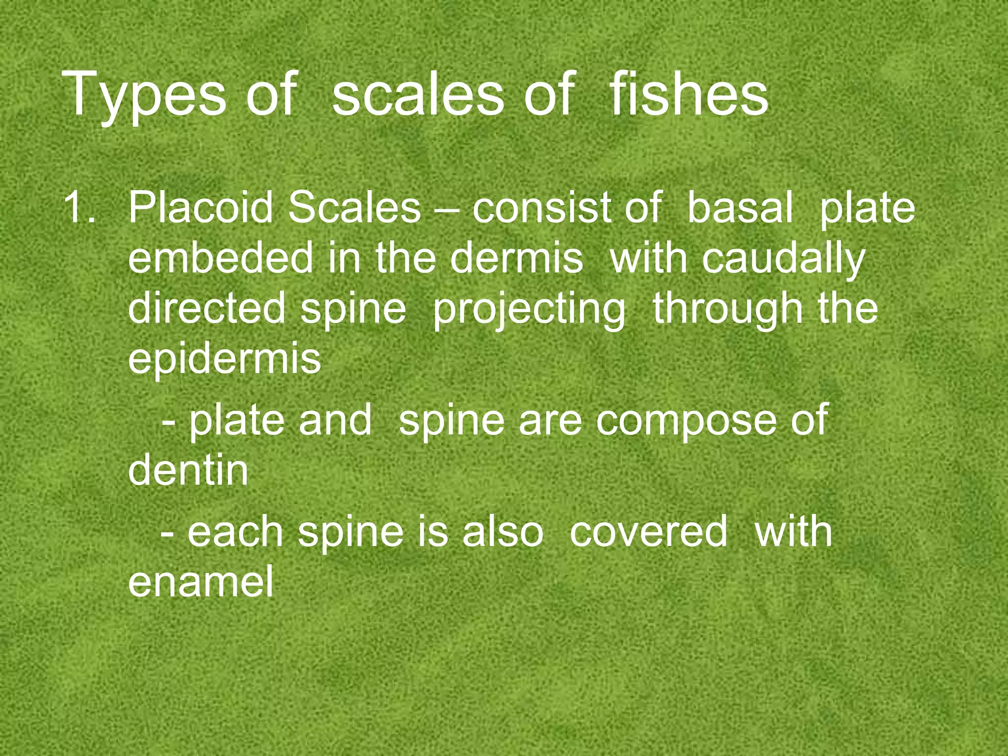 Integumentary System | PPT