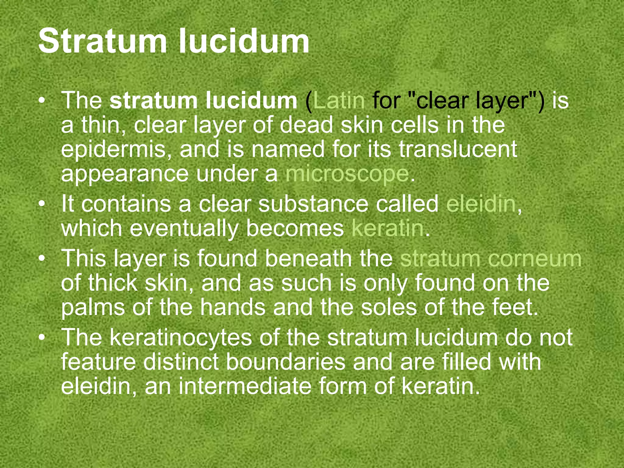 Integumentary System | PPT
