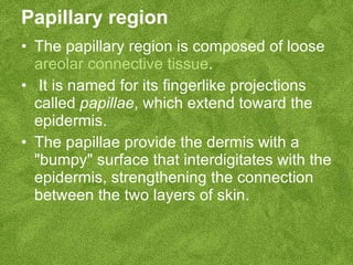 Integumentary System | PPT