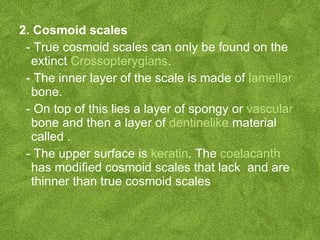 Integumentary System | PPT