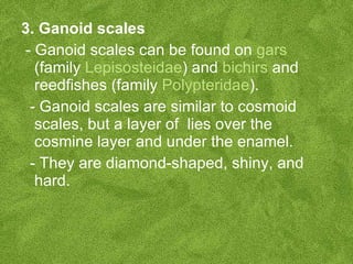 Integumentary System | PPT