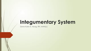 Integumentary-System power point presentation of one of the systems | PPT