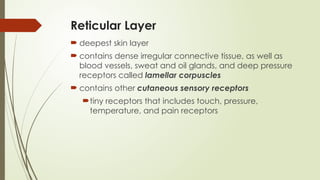 Integumentary-System power point presentation of one of the systems | PPTX