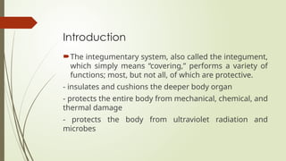Integumentary-System power point presentation of one of the systems | PPT