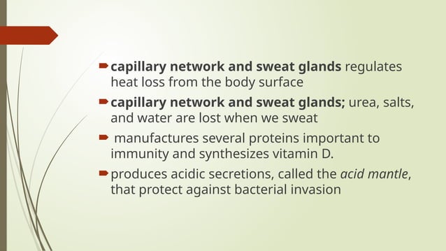 Integumentary-System power point presentation of one of the systems | PPT