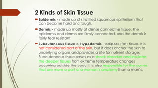 Integumentary-System power point presentation of one of the systems | PPT