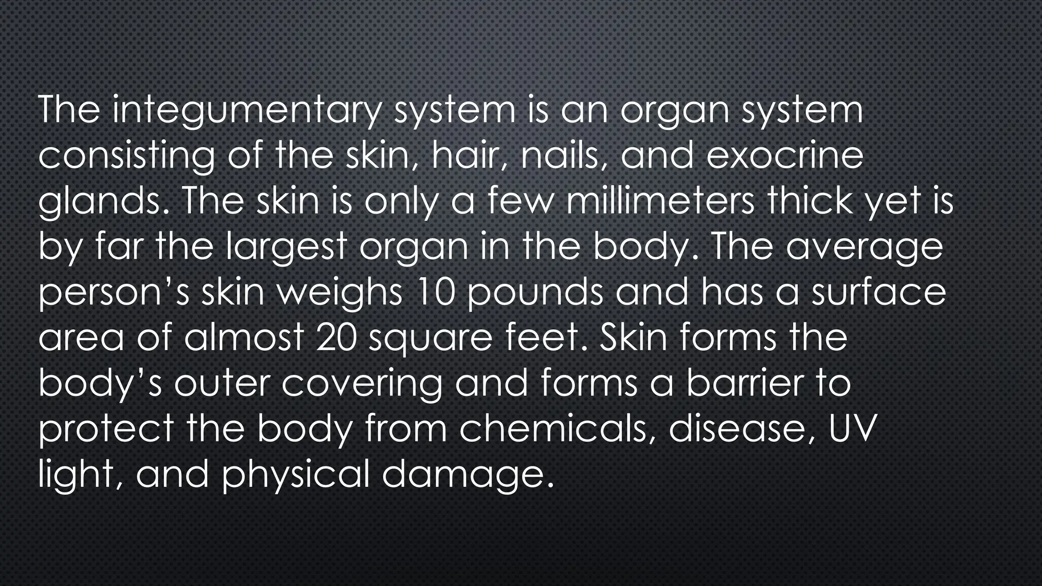 INTEGUMENTARY SYSTEM INTEGUMENTARY SYSTEM | PPTX