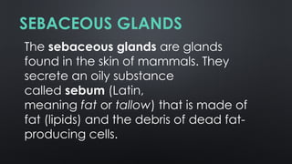 INTEGUMENTARY SYSTEM INTEGUMENTARY SYSTEM | PPTX