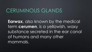 INTEGUMENTARY SYSTEM INTEGUMENTARY SYSTEM | PPTX