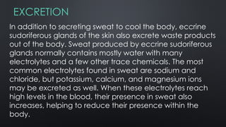 INTEGUMENTARY SYSTEM INTEGUMENTARY SYSTEM | PPTX