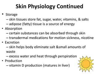 Integumentary-System-Class.pdf