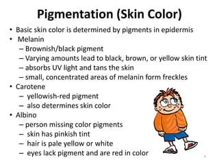 Integumentary-System-Class.pdf