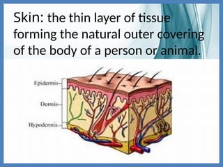 second quarter Integumentary-System-GRADE-6.pptx