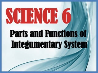 second quarter Integumentary-System-GRADE-6.pptx