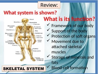 second quarter Integumentary-System-GRADE-6.pptx