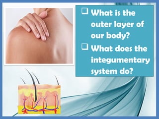 second quarter Integumentary-System-GRADE-6.pptx