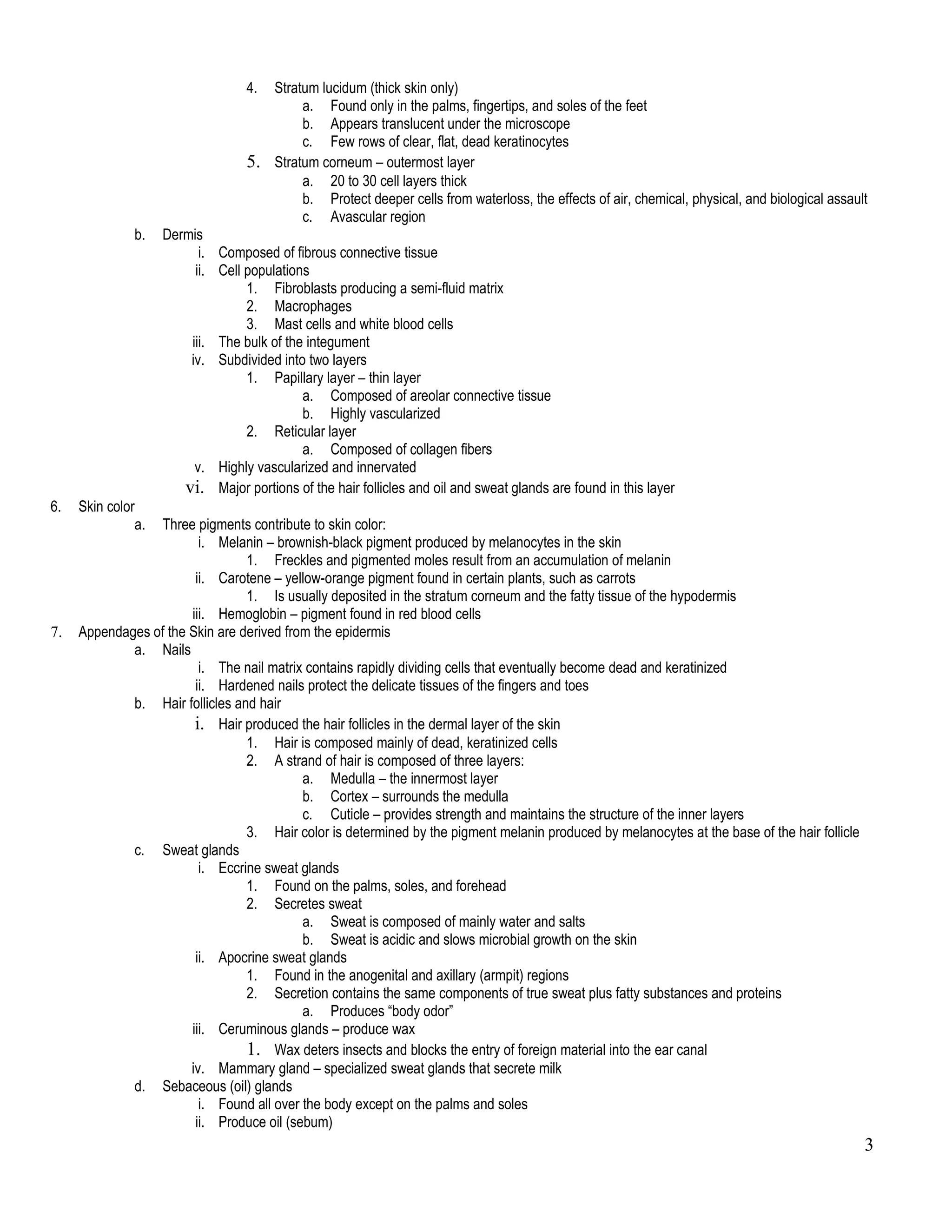 Integumentary System Outline | DOC