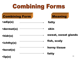 Integumentary Anatomy physiology PPT.ppt