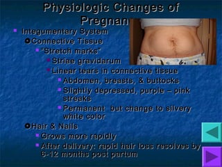 INTEGUMENTARY and MUSCULOSKELETAL SYSTEM | PPT